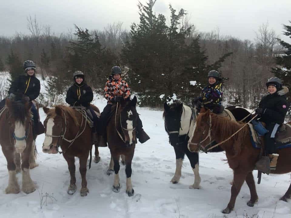 Home - Horseback Riding in Niagara, Ontario