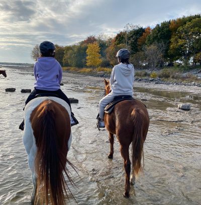 Home - Horseback Riding in Niagara, Ontario